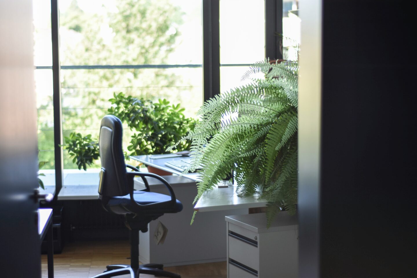 The Eco-Productivity Link: How Sustainability Drives High Performance ...